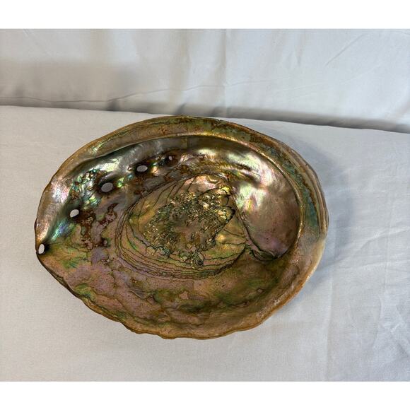 Other | Accents | Vintage California Red Abalone Shell | Poshmark